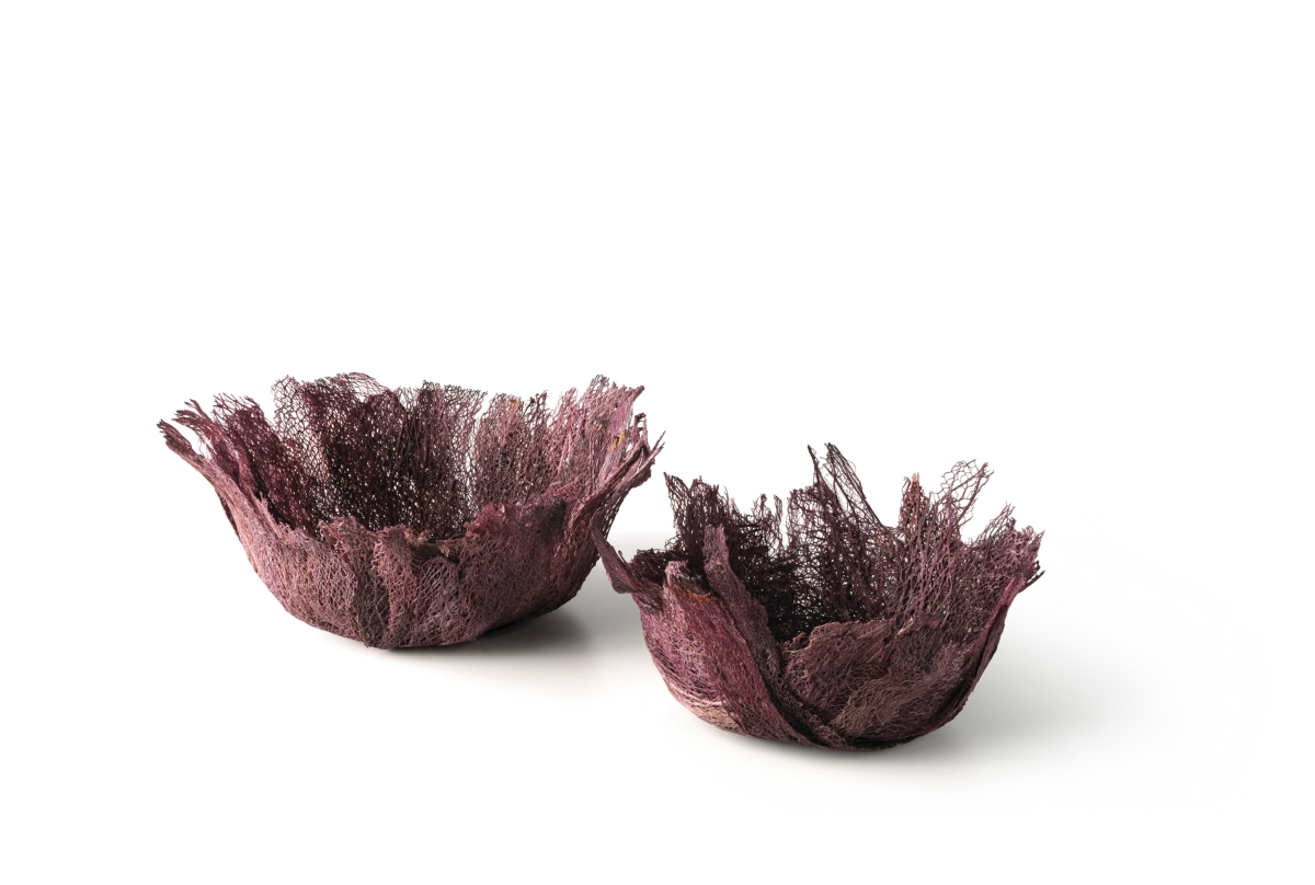 Alternate Lifeforms JCP Universe, un sistema basato sulle relazioni tra ...