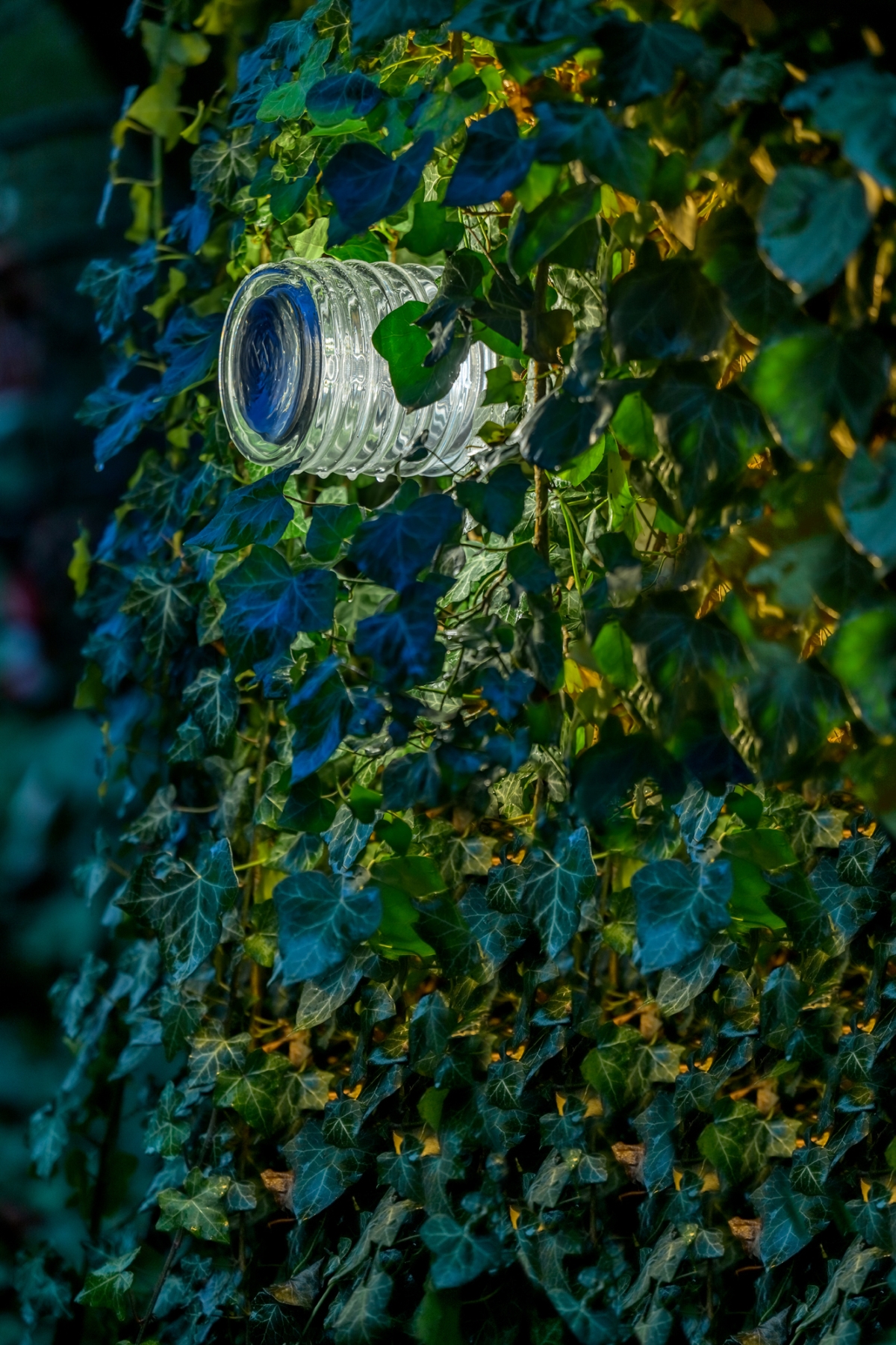 Lights of nature: the new outdoor lighting collection by Platek ...
