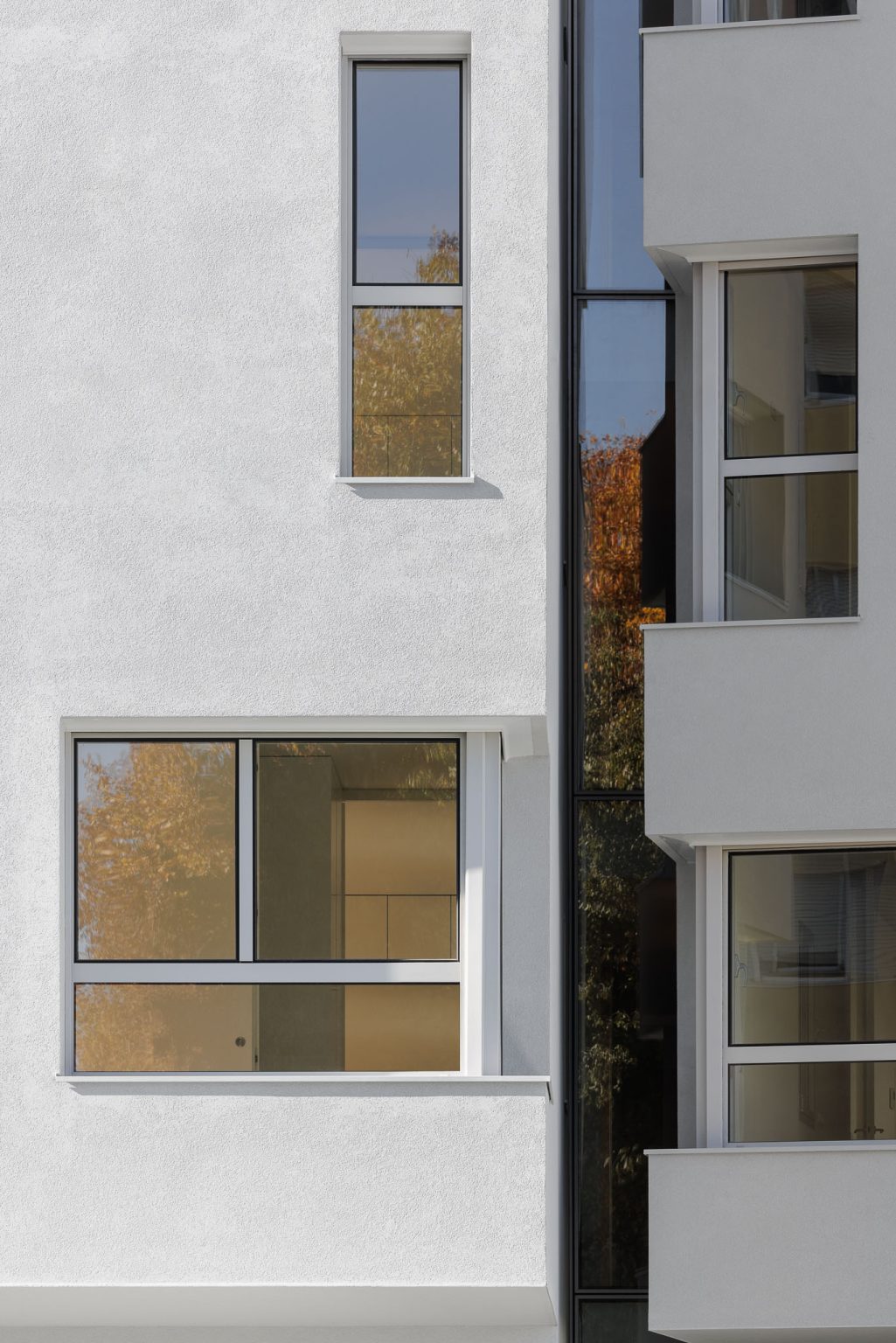 Nova Rio Housing: L'architettura contemporanea che sfida le convenzioni ...